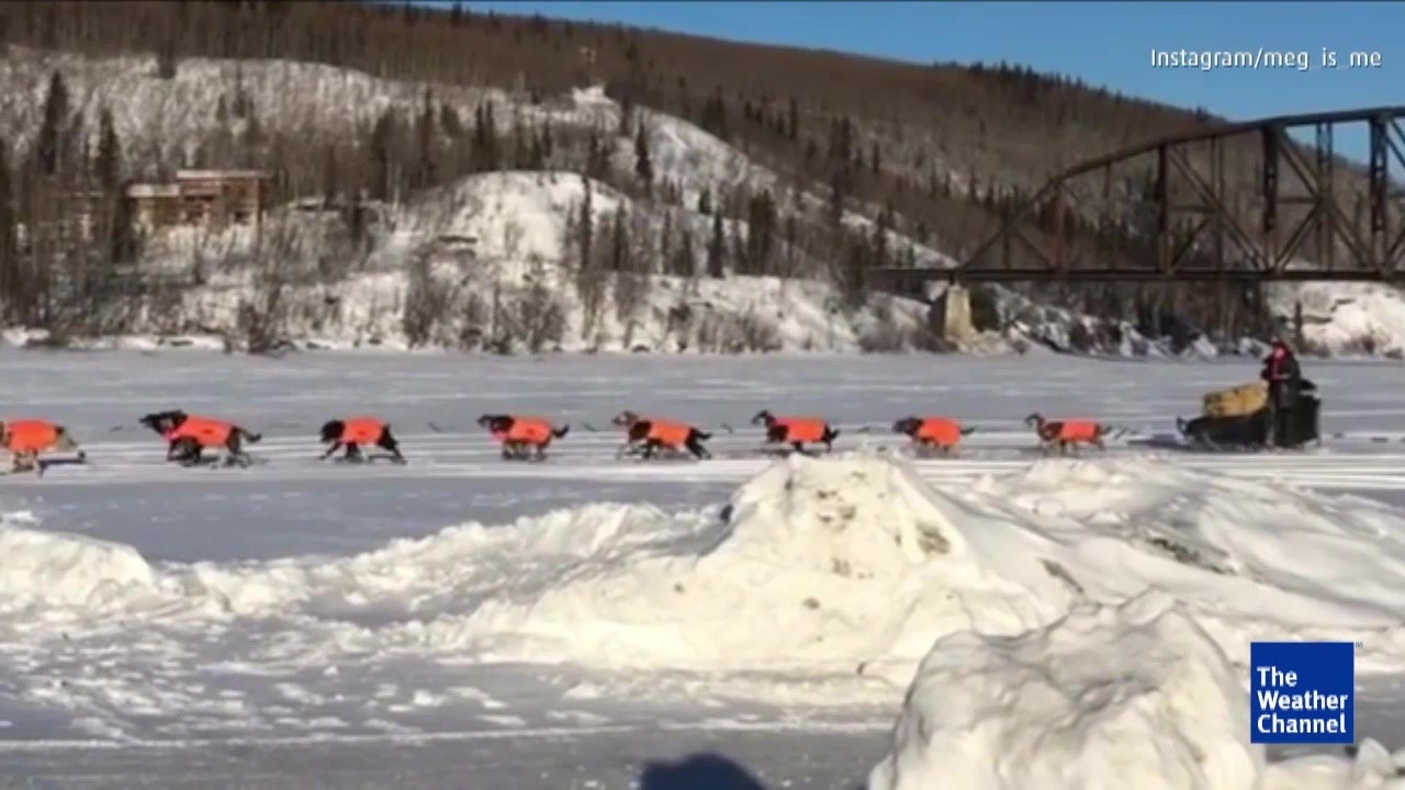 Record Breaking Cold in Alaska Just in Time for the Iditarod - Videos ...
