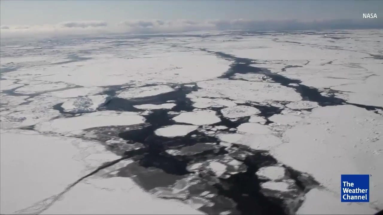 Antarctic Ice Shelves Melting Rapidly - Videos from The Weather Channel