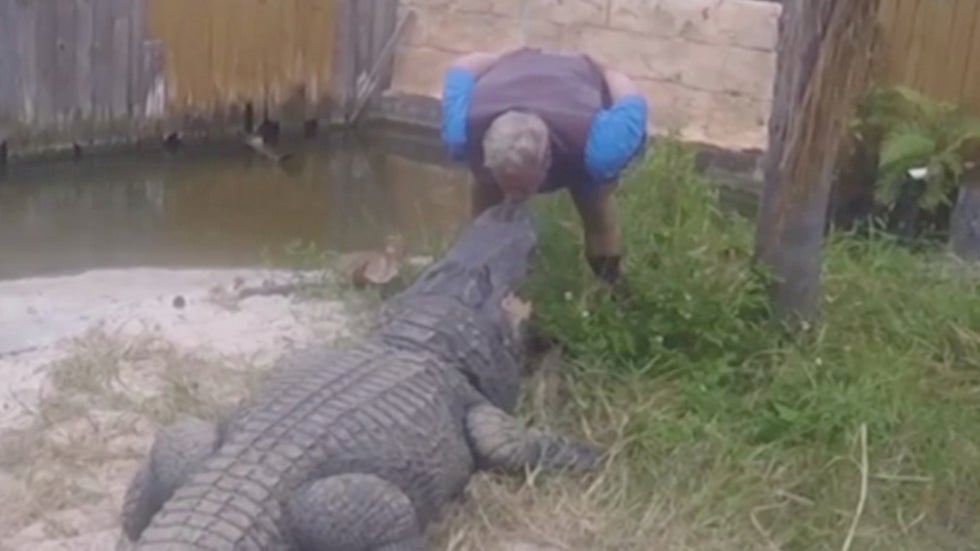 This Gator Doesn’t Want a Kiss - Videos from The Weather Channel ...