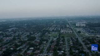 Tegu Lizard Populations Found in Florida, Study Says They Could Spread ...