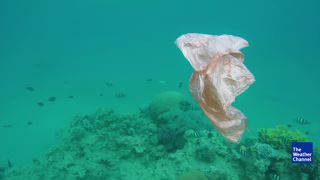 In a First, Microplastics Found Here - Videos from The Weather Channel