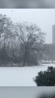 Maya Snow Blankets Central Park - Videos from The Weather Channel