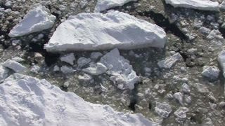 Nearly All Old Arctic Sea Ice Has Vanished and Arctic Sea Ice Extent ...