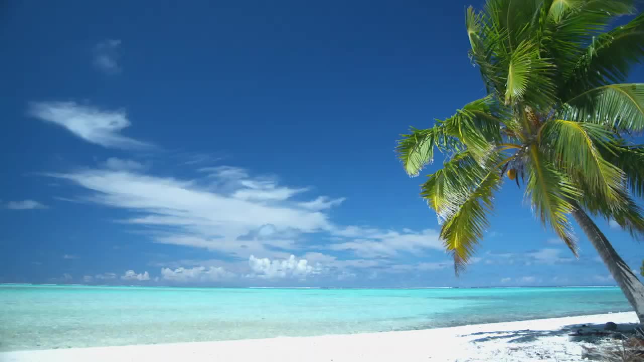 The Weather We Love Most - Videos from The Weather Channel