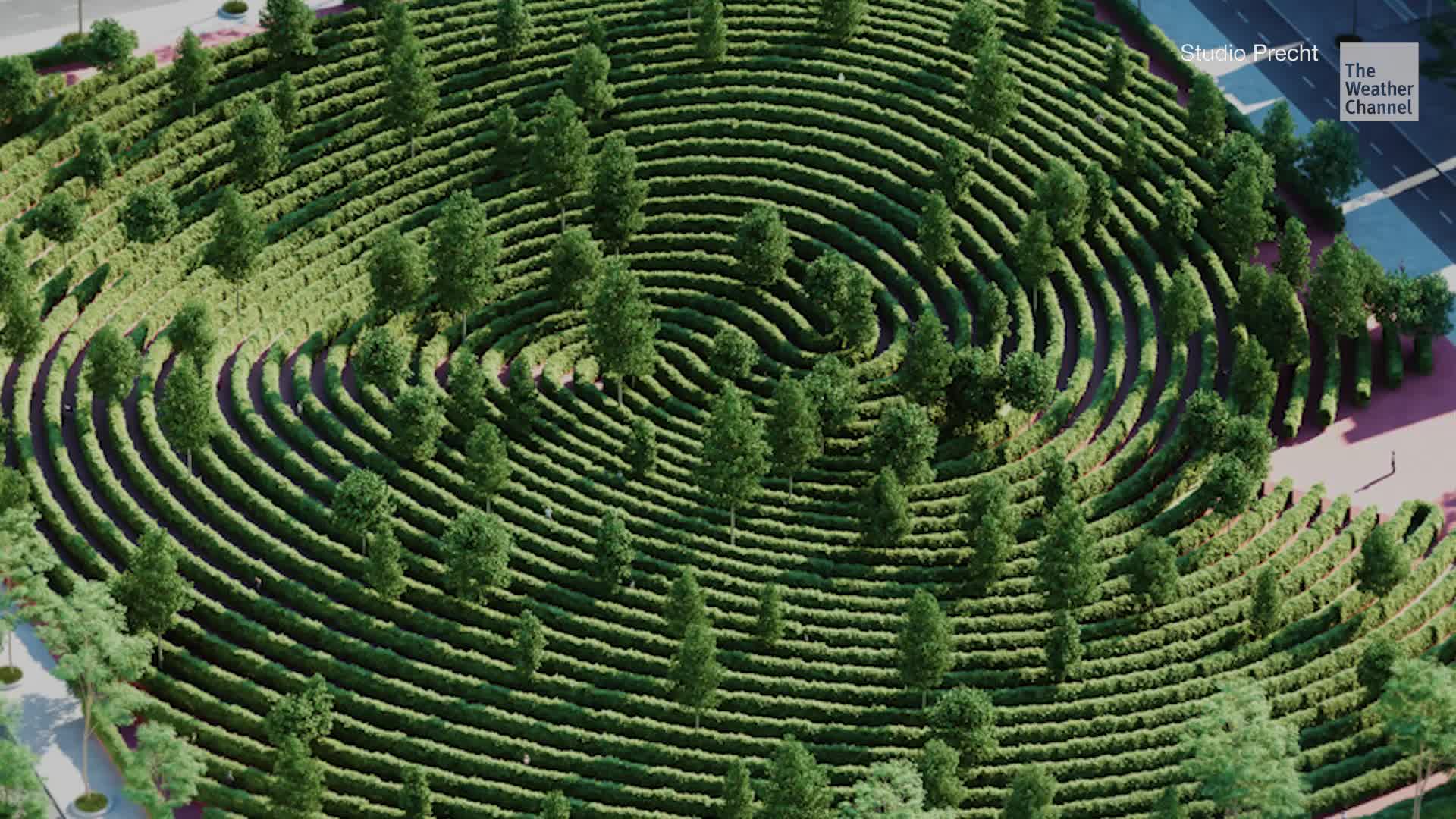 This Park Would Be Perfect for Social Distancing - Videos from The ...