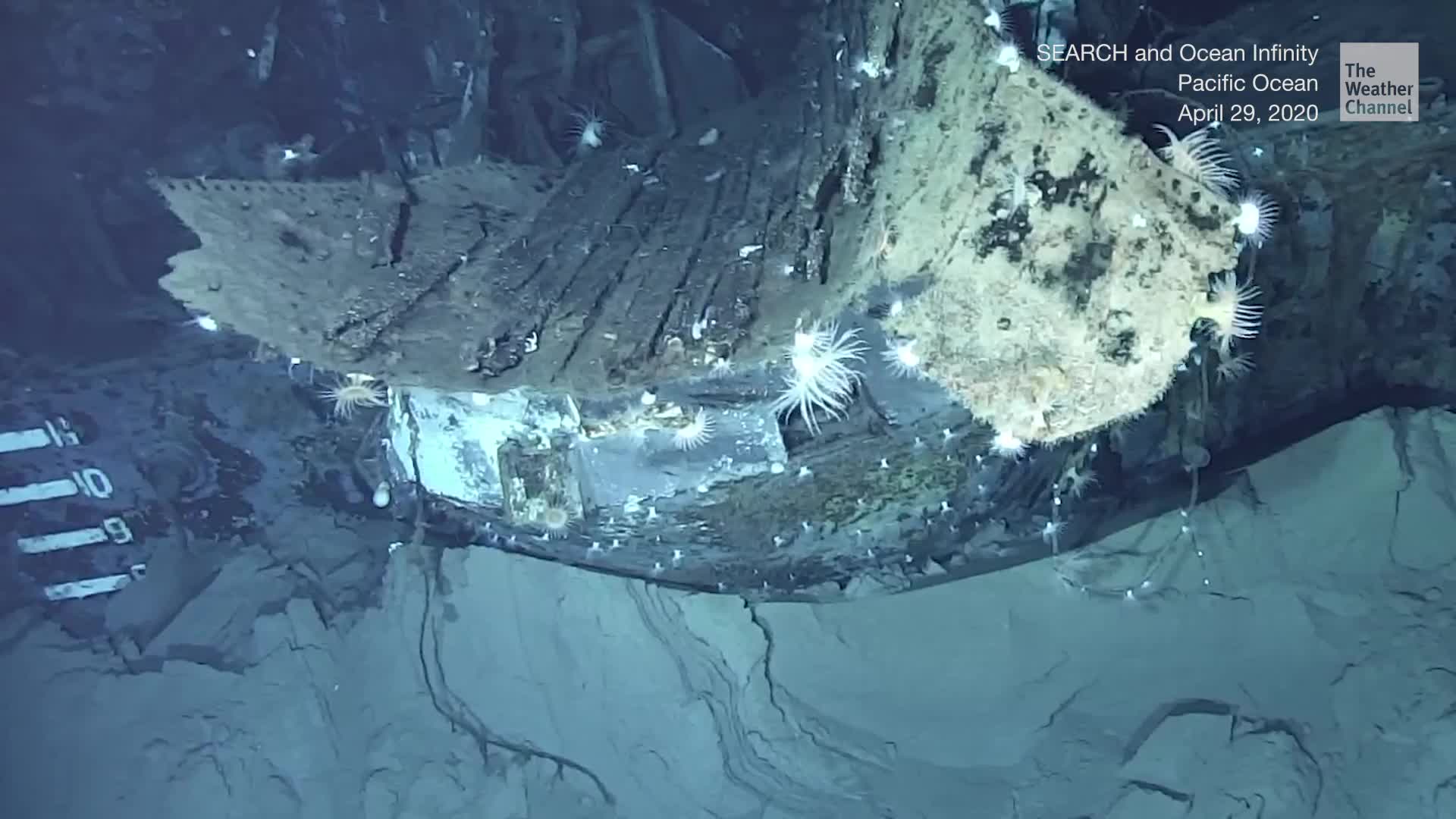 Iconic Battleship Sunk in Pearl Harbor Attack Found on Seafloor ...