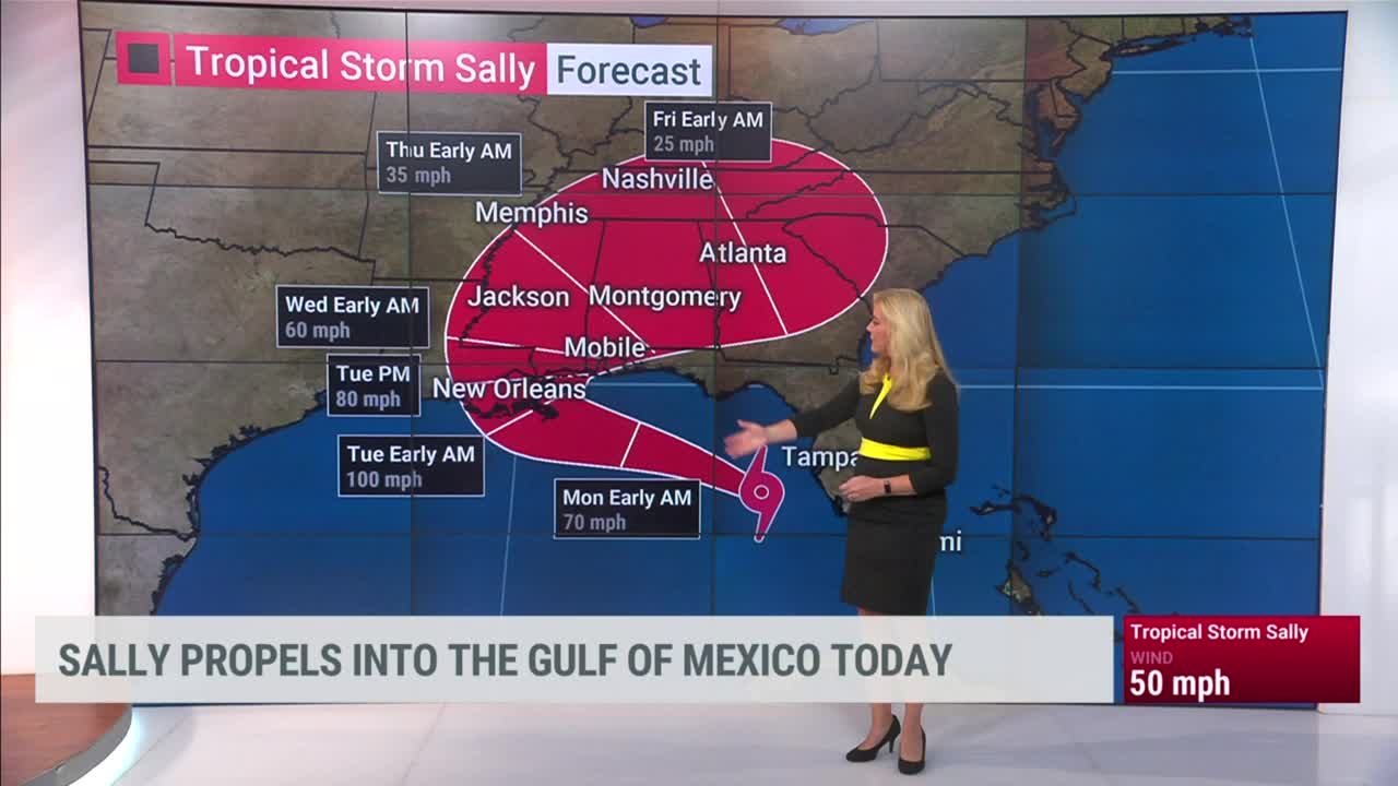 Tropical Storm Sally in the Gulf of Mexico has Gotten Stronger ...