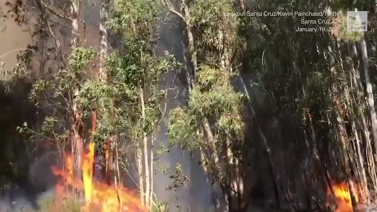 Underground Embers Likely Started Recent California Wildfires - Videos ...