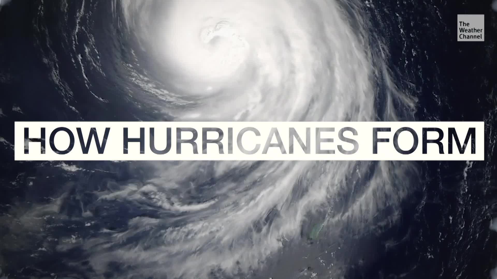 What to Know About Hurricane Formation - Videos from The Weather Channel