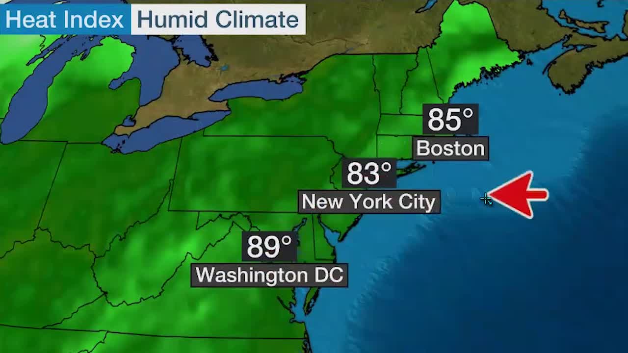 Our Expert Agrees: It's Not the Heat, It's the Humidity - Videos from ...