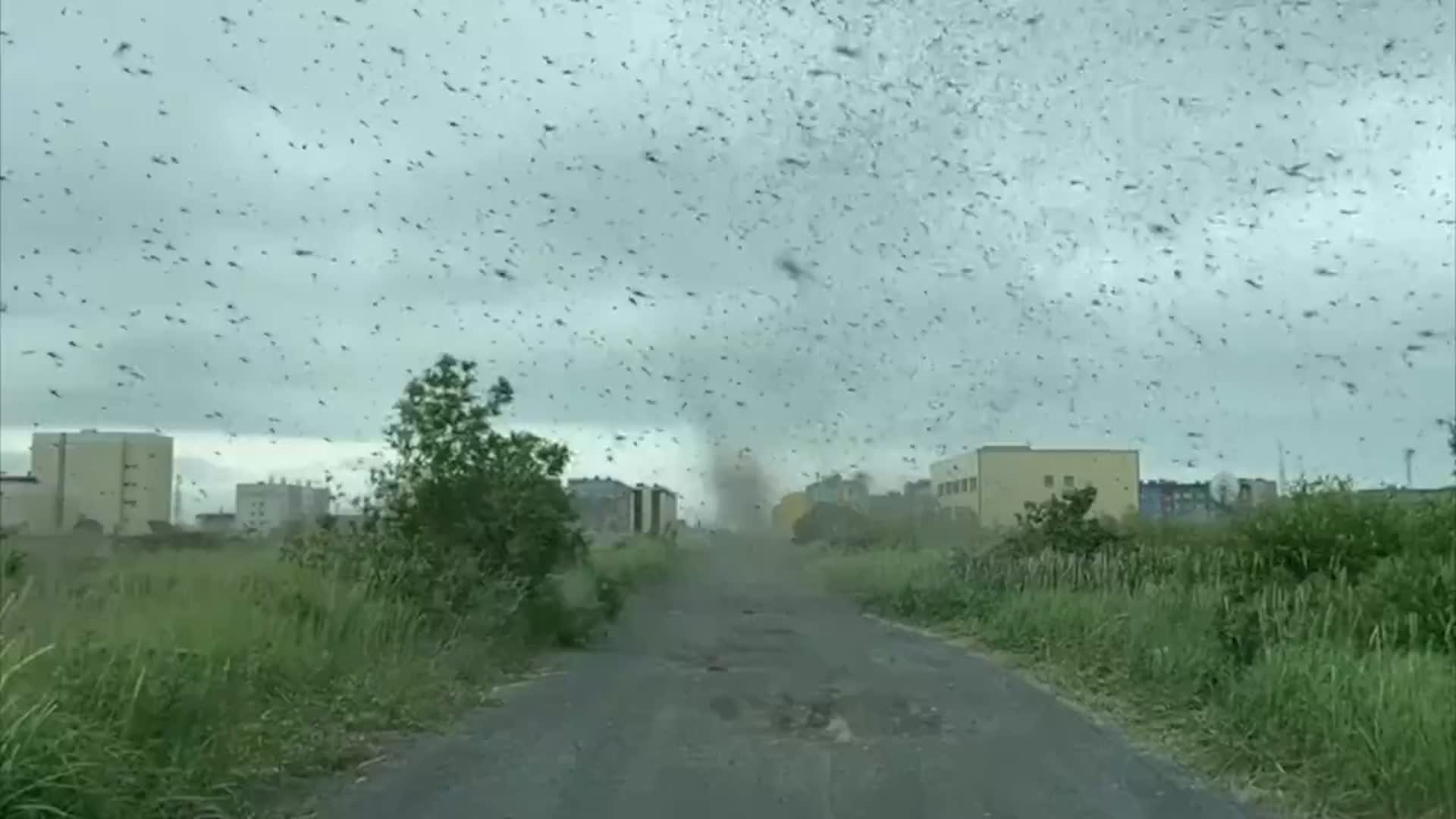 Nightmarish 'Mosquito Tornado' Forms | The Weather Channel