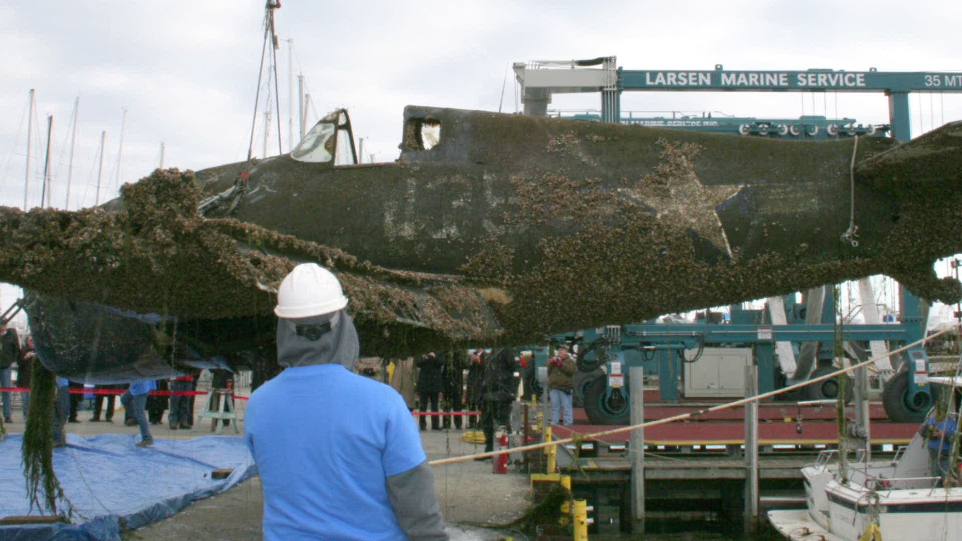 Sargassum Seaweed Invades Caribbean, South Florida Beaches - Videos ...