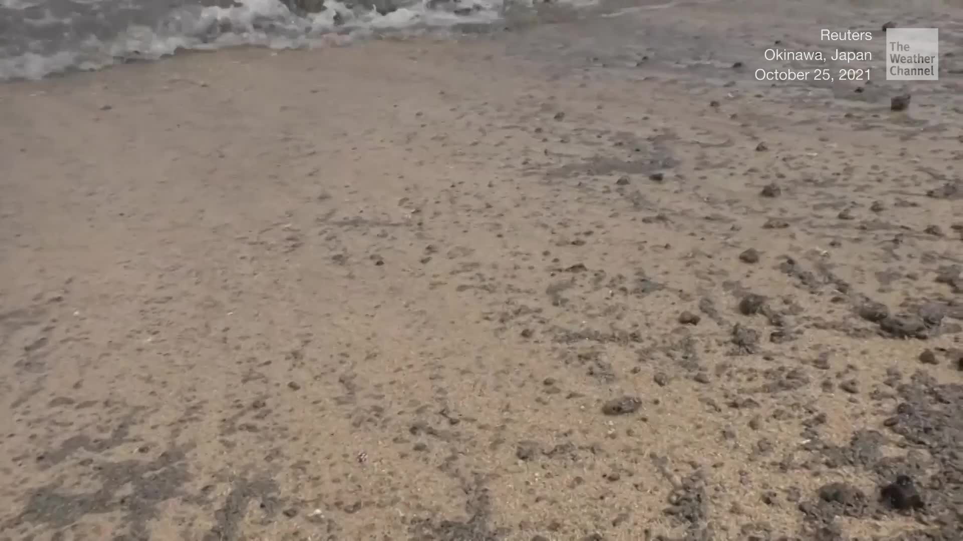 Underwater Eruption Sends Pumice on Epic Journey - Videos from The ...