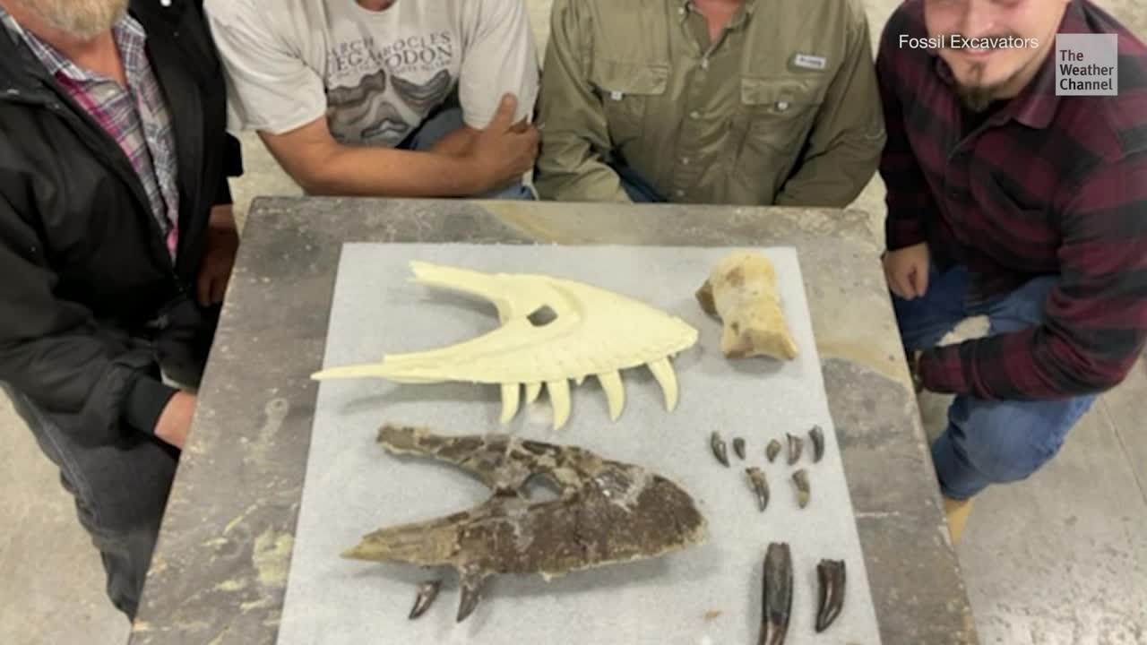 Rare ‘Beautiful Nightmare’ Dinosaur Fossil Found in ND - Videos from ...