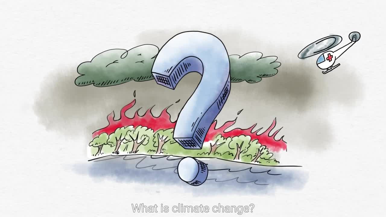 Warming Oceans Having Troubling Effect on Marine Animals - Videos from ...