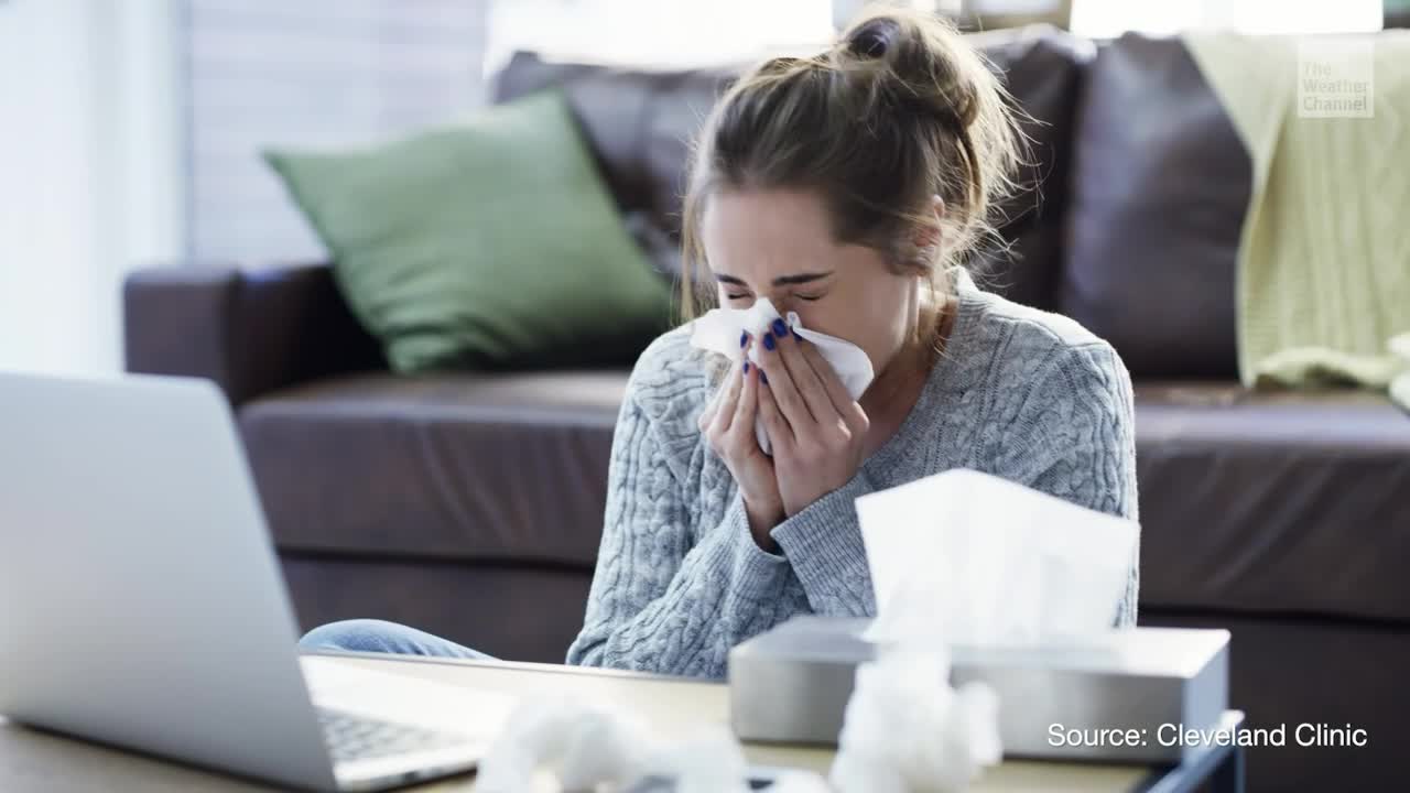With Winter Comes Colds. We’re Breaking Down the Relationship Between ...