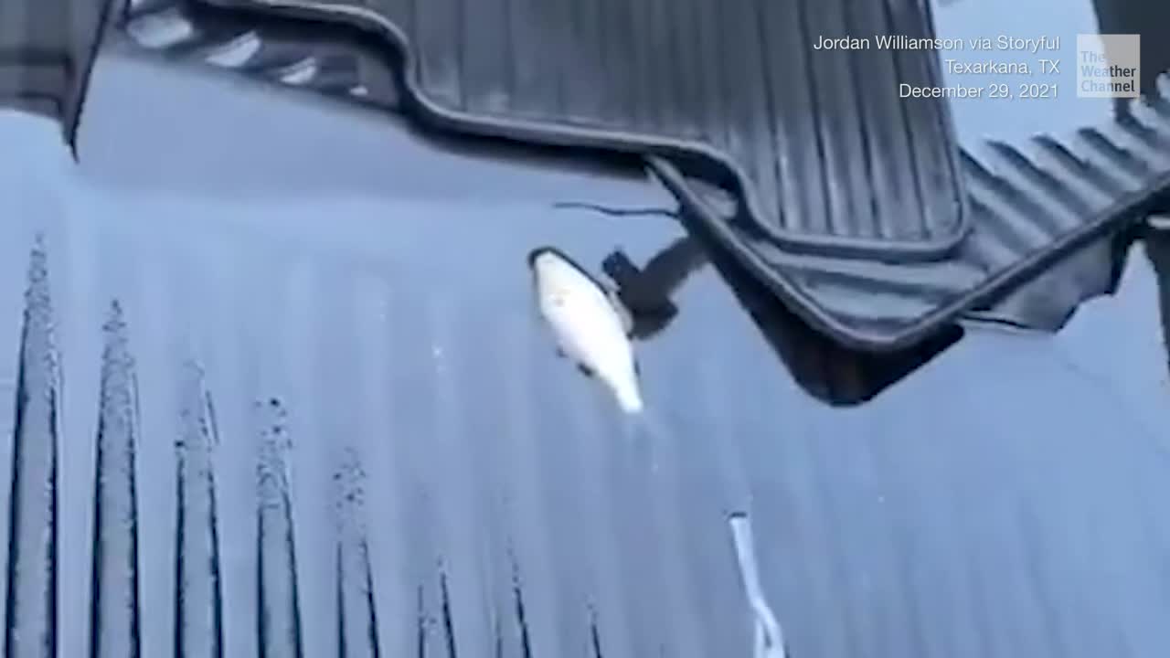 Texas Rain Brings a Lot More Than Just Water - Videos from The Weather ...