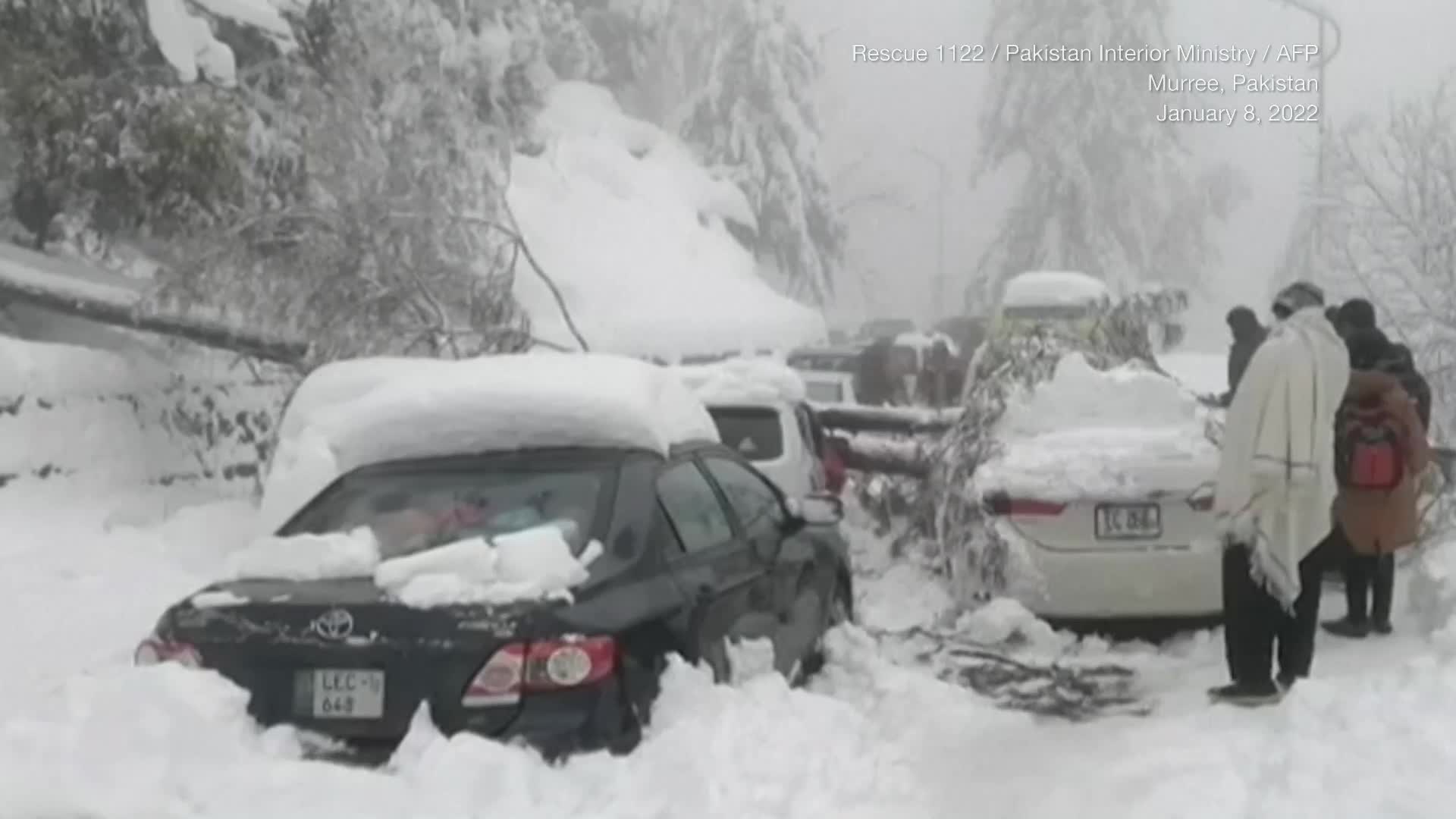 Hilo Before and After Lane Dumped 40 Inches of Rainfall on Hawaii's Big ...