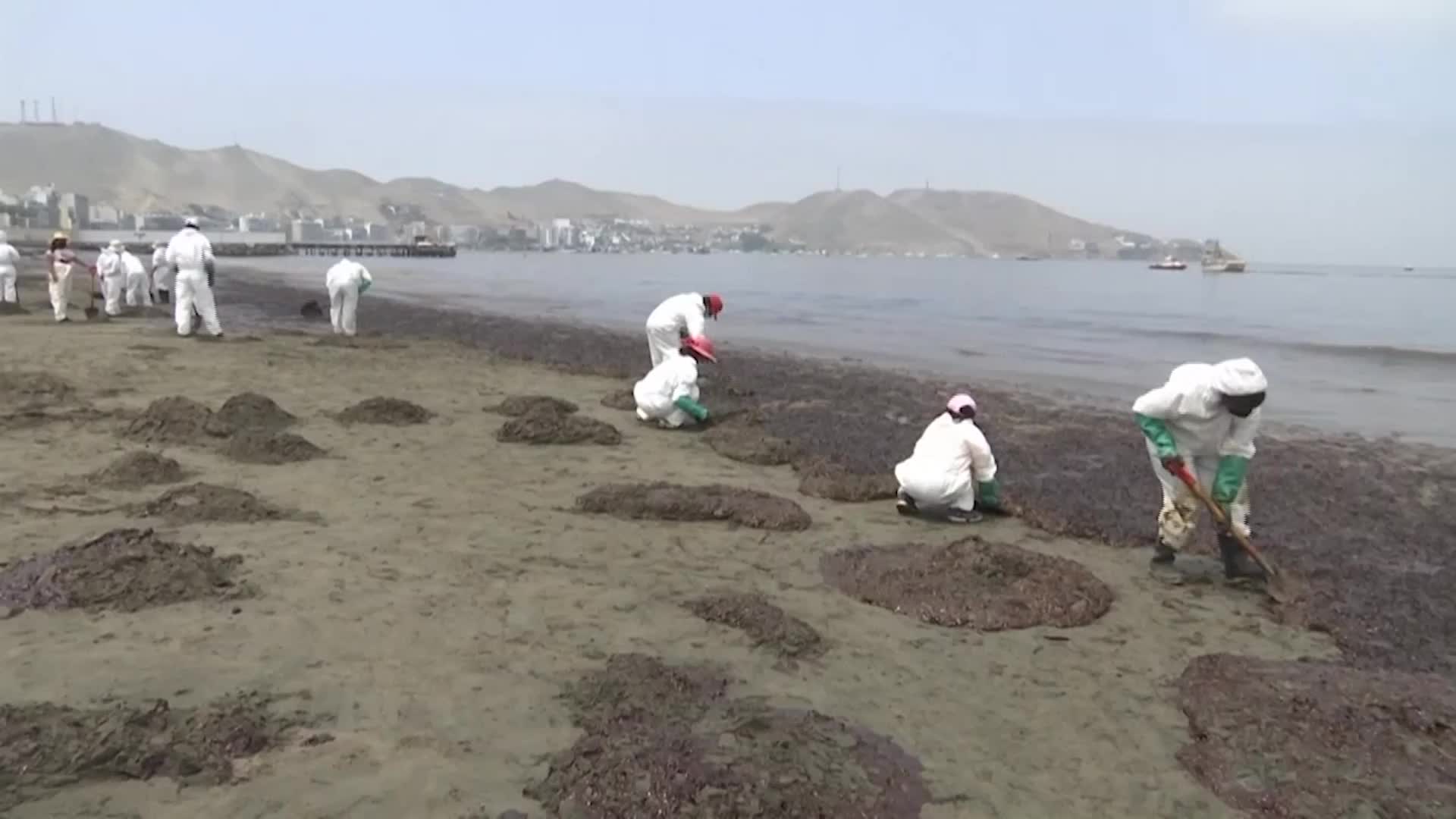 Tonga Volcano Tsunami Causes Environmental Emergency in Peru After Oil ...