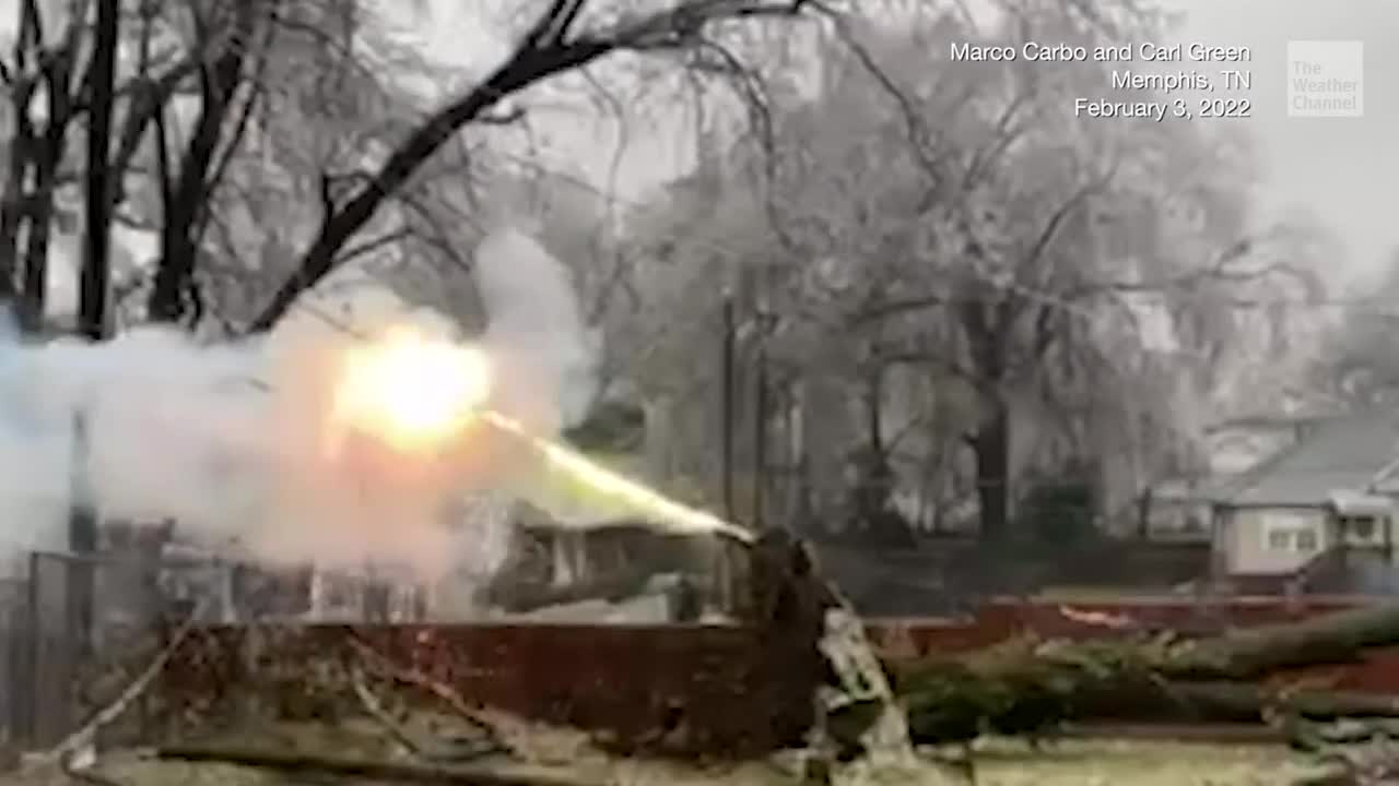 Fallen Tree Sends Sparks Flying in Backyard - Videos from The Weather ...