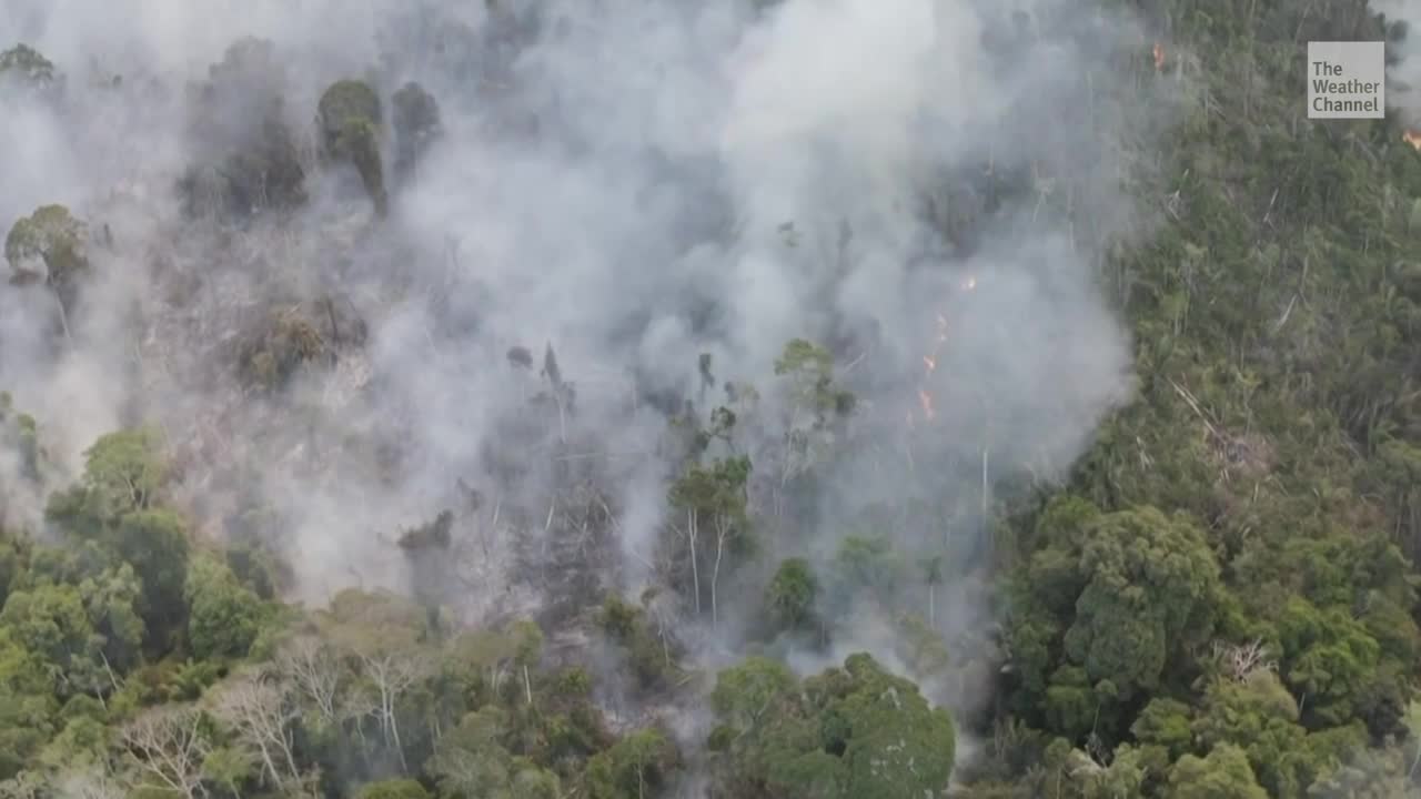 Carbon Emissions from Deforestation Doubled in Past Two Decades ...