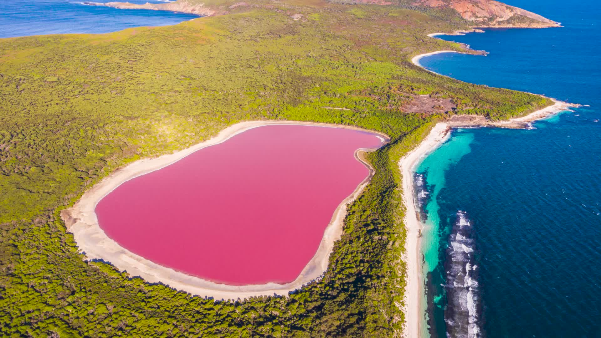 Pink Lake Mystery Solved Videos From The Weather Channel