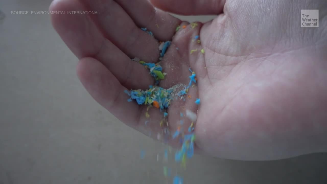 Microplastics In Our Blood? - Videos from The Weather Channel