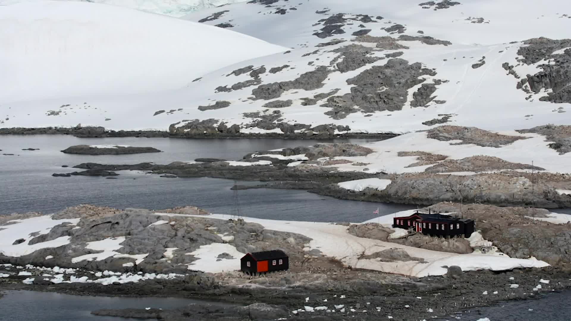 Want to Run Antarctic Post Office, Count Penguins? - Videos from The ...