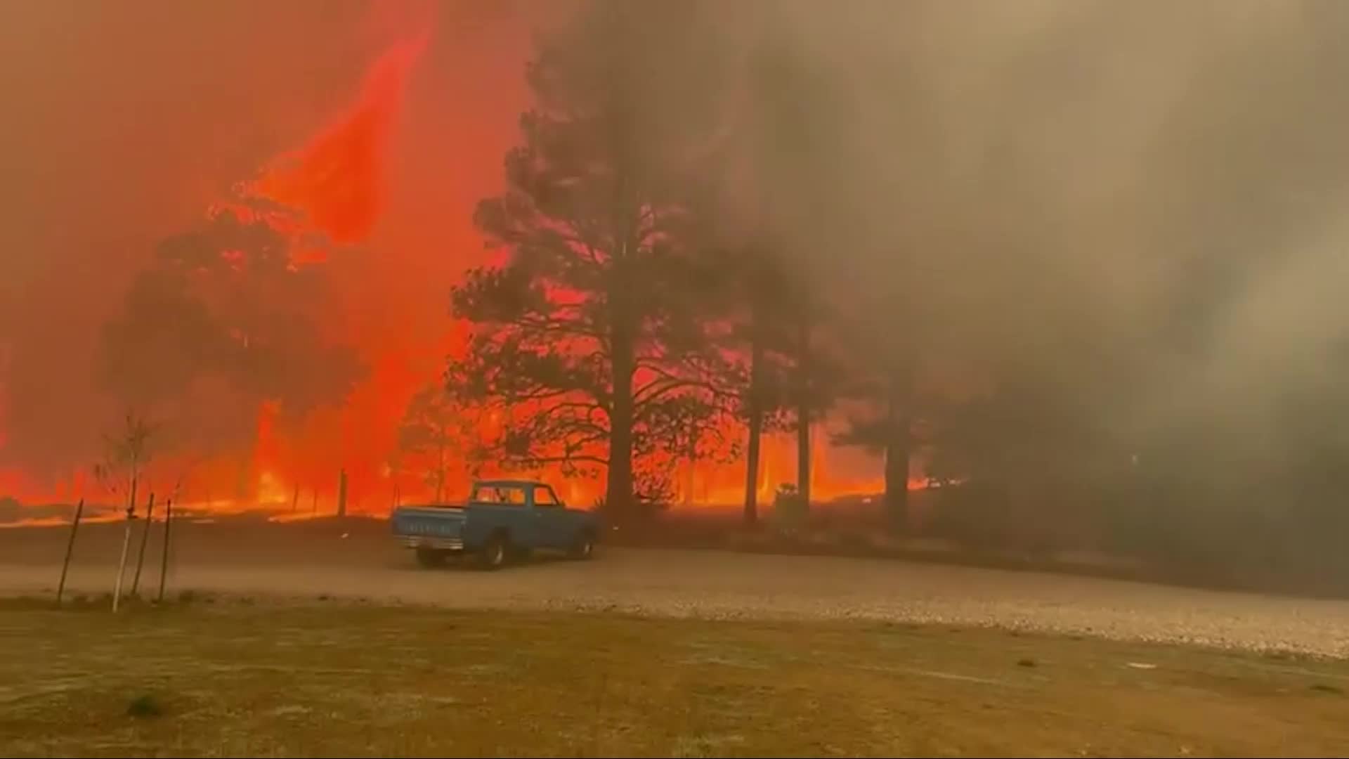 Massive Gator Spotted Wandering on Naples Golf Course During Eta ...
