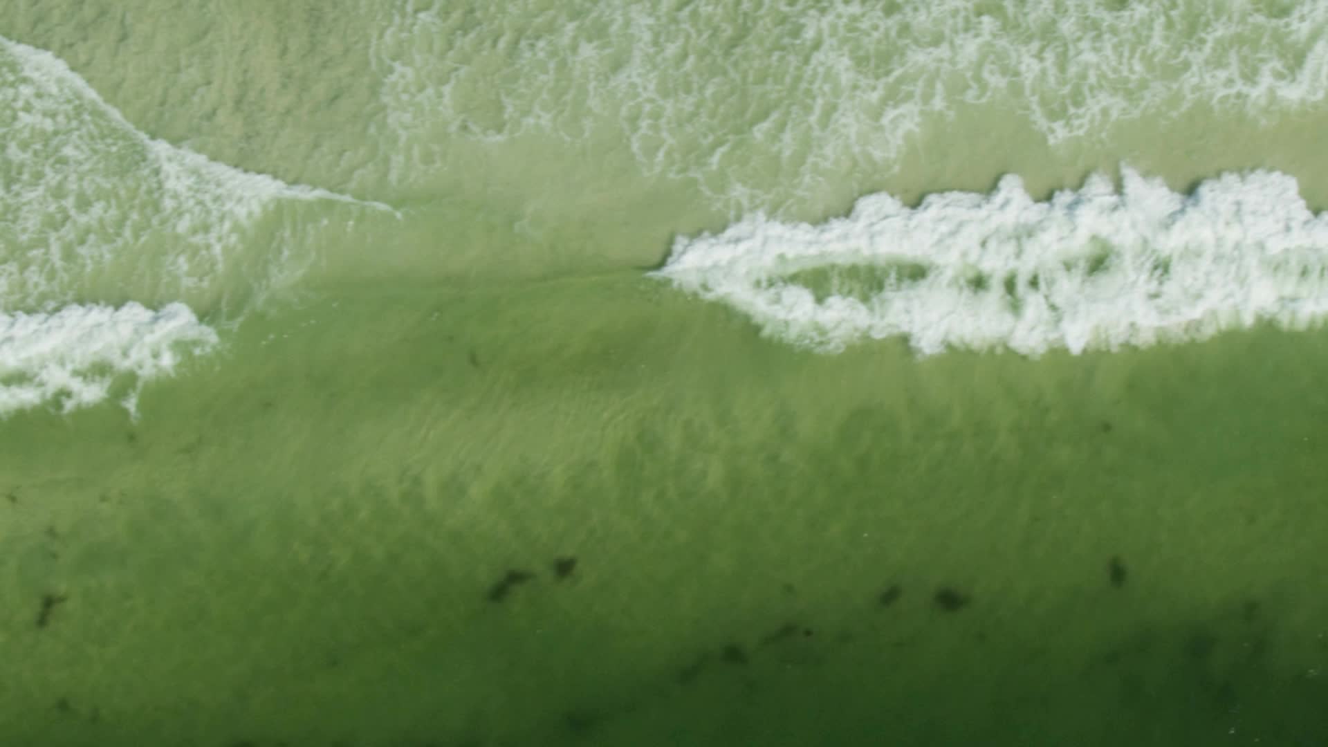 Link Found Between Red Tide, Gulf Dead Zones - Videos from The Weather ...