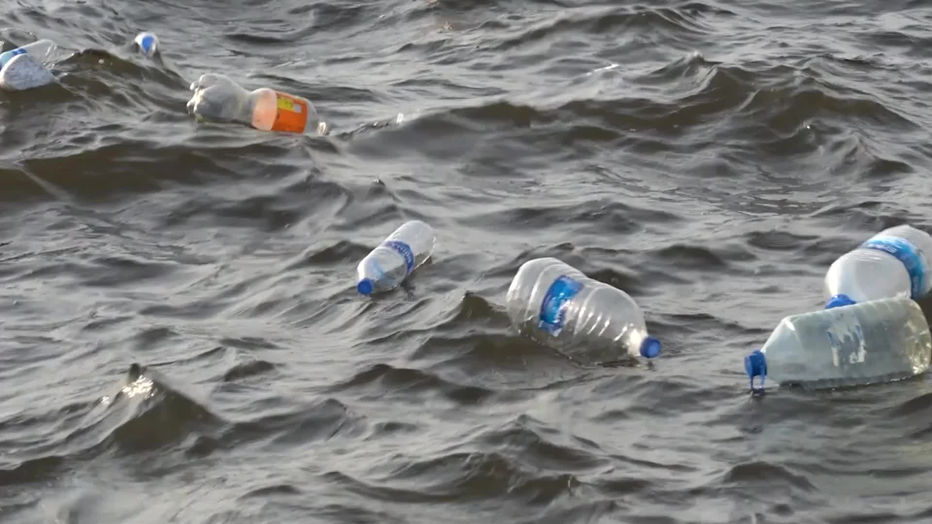 Ocean Plastic Linked to Disease Risk - Videos from The Weather Channel