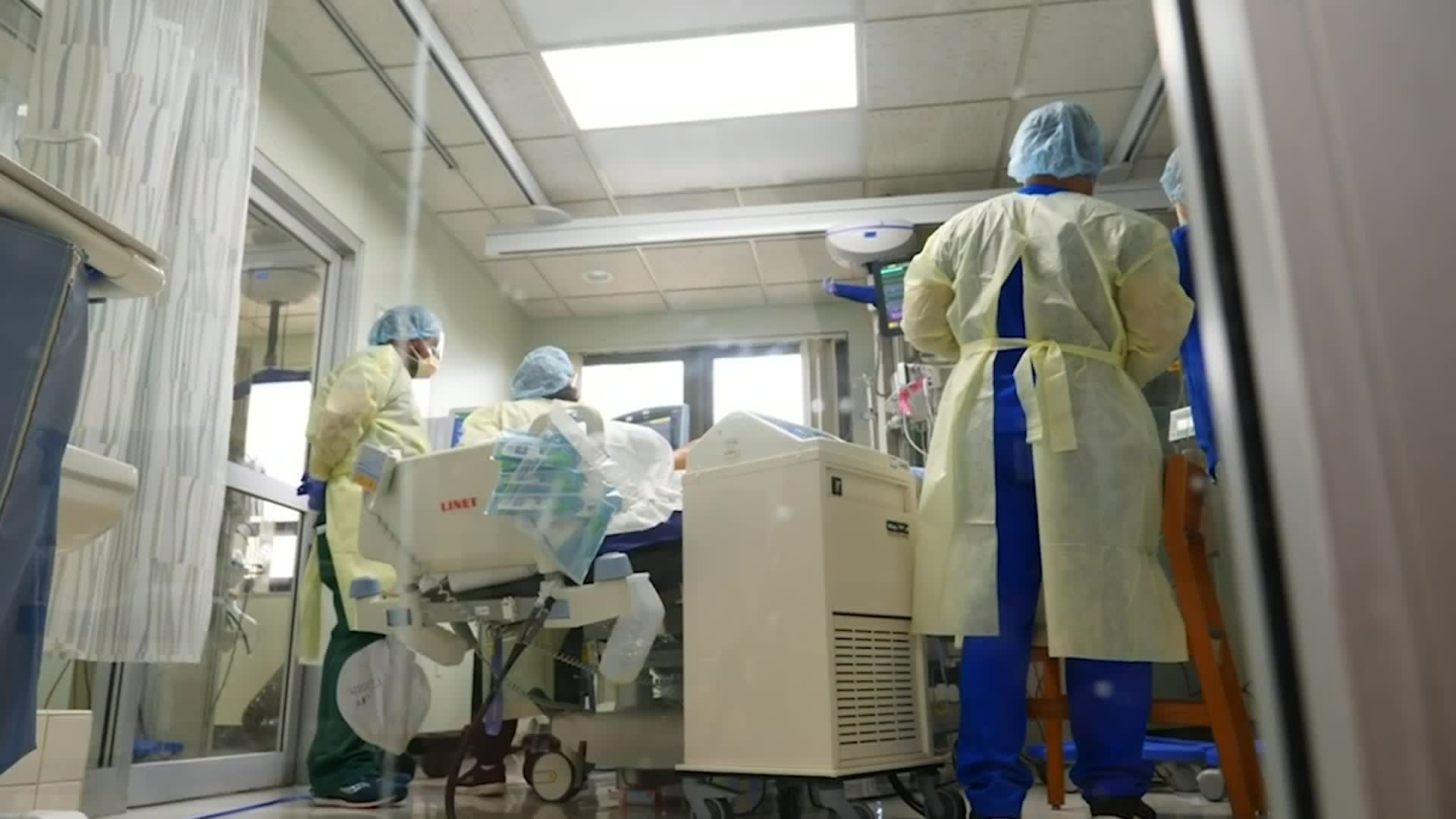 Why So Many Are Being Reinfected with COVID-19 - Videos from The ...