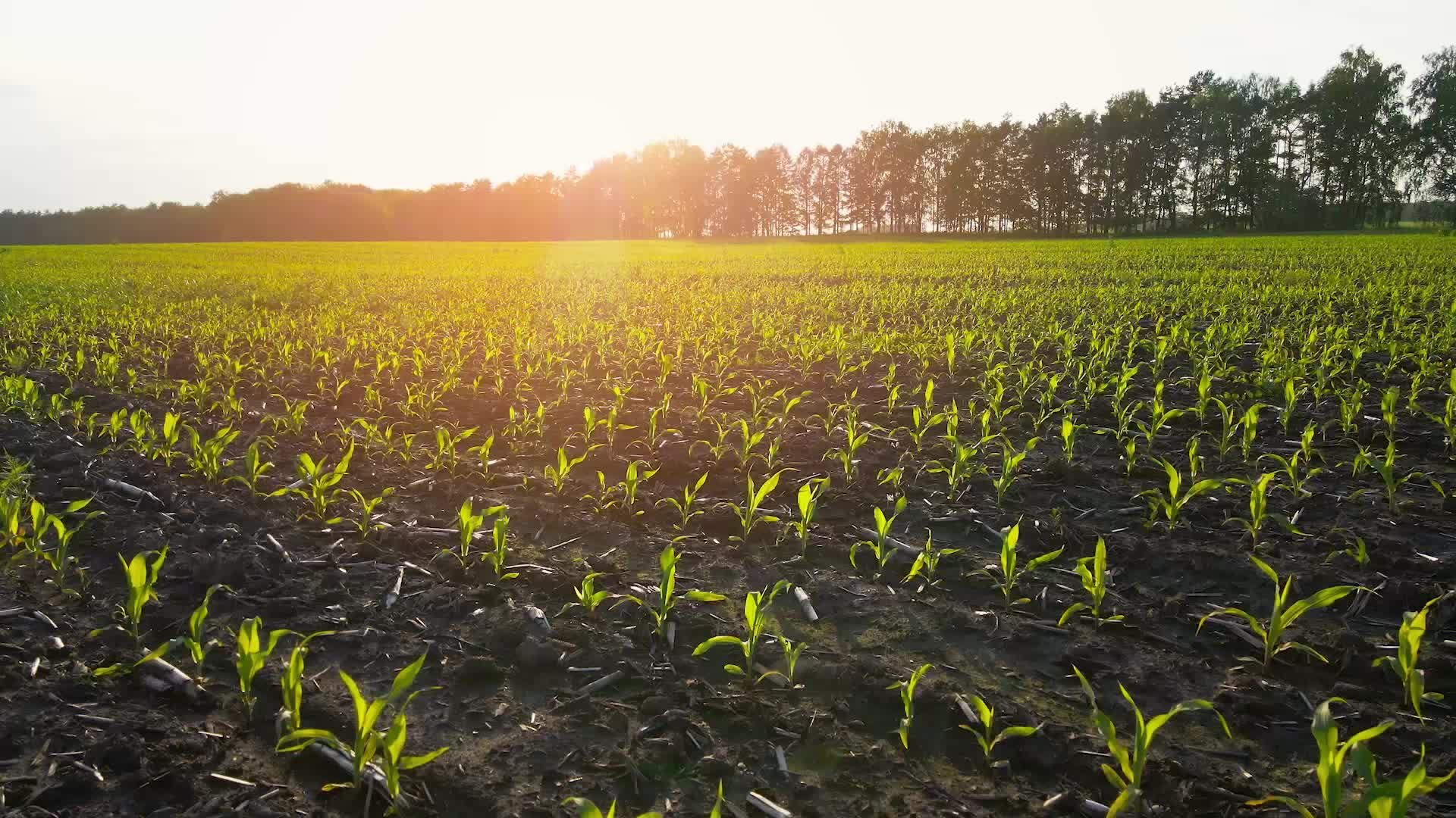 Why Climate Change Could Force Farmers to Adapt - Videos from The ...