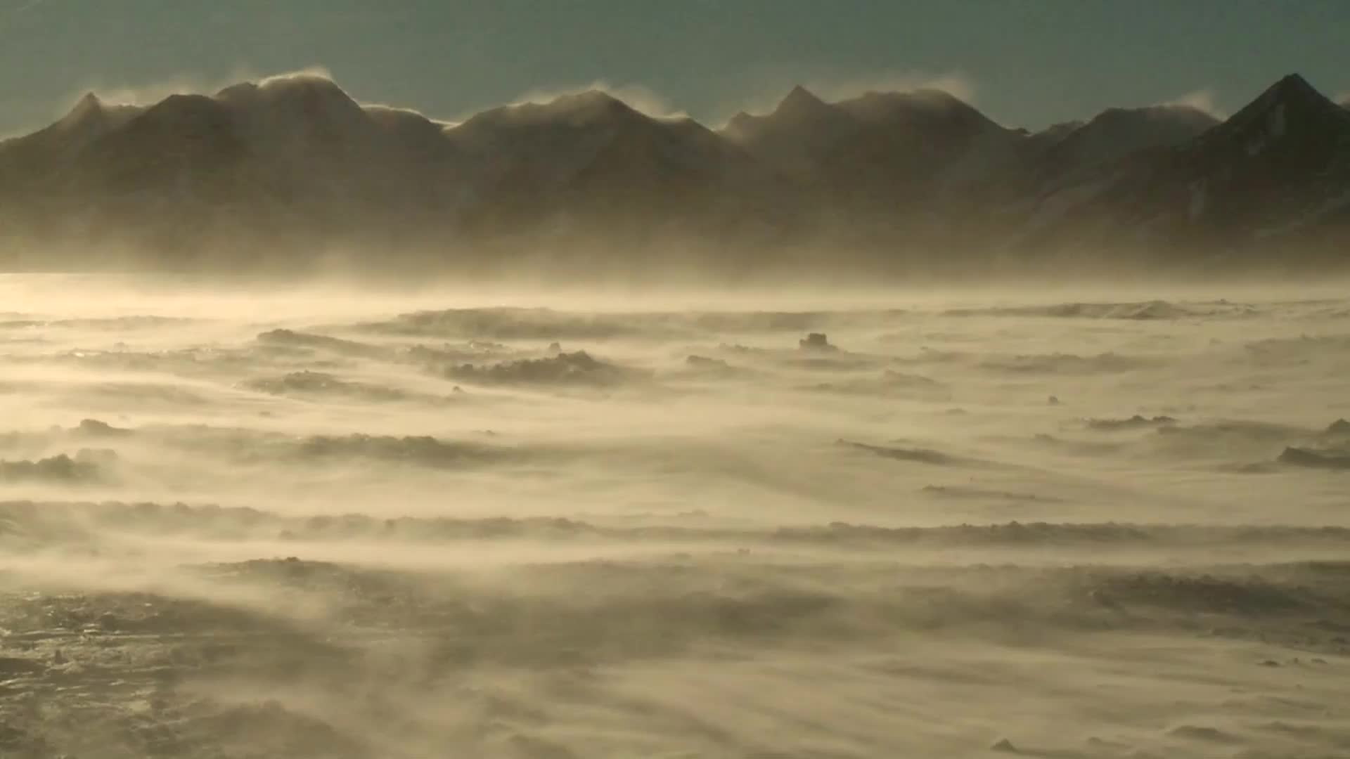 Ecosystem Found 1,600' Beneath Antarctic Ice Shelf - Videos from The ...