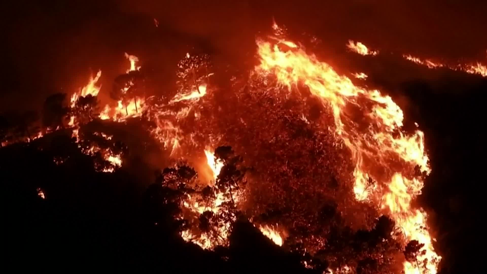 Thousands Evacuated as Fast-Moving Wildfire Breaks Out in Spain ...