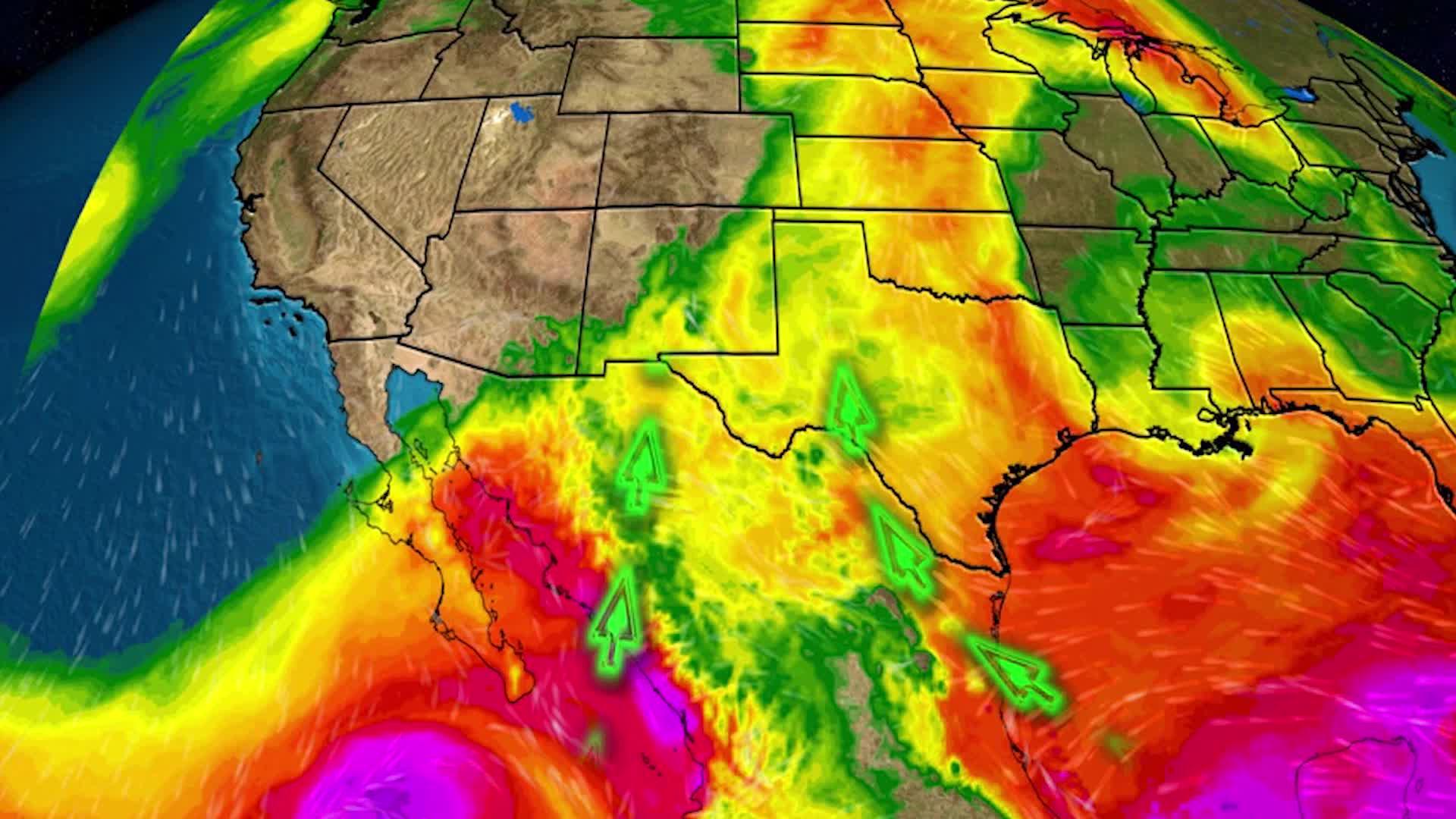 Deadly Plant Spreading Across the U.S. - Videos from The Weather ...