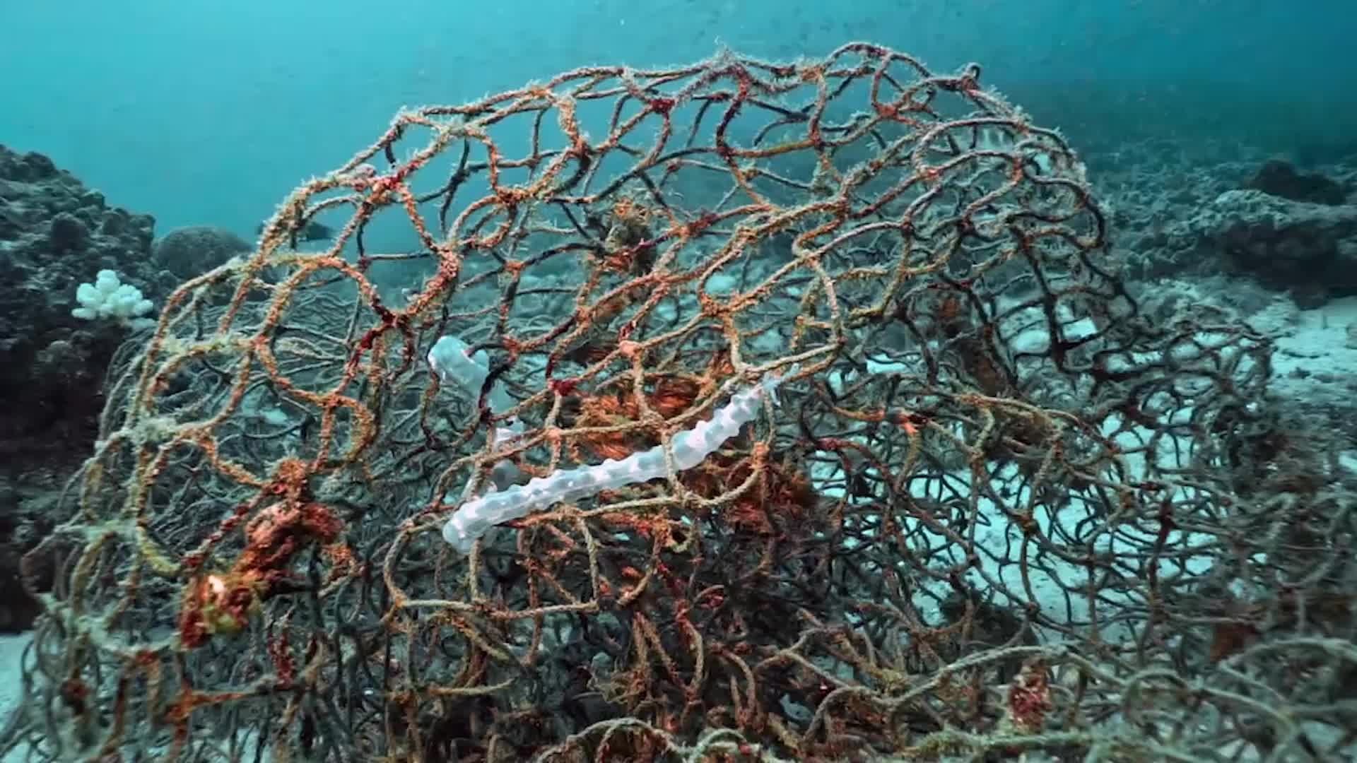 New Pollution Threat to Oceans - Videos from The Weather Channel