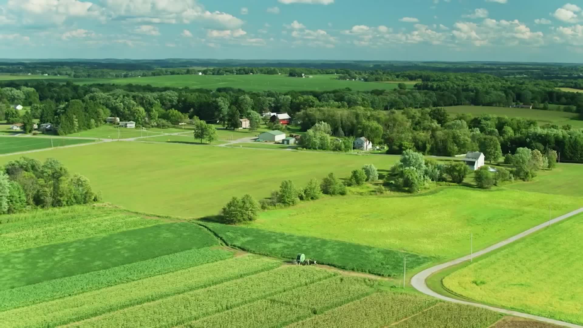 Invasive Plants Taking Over Ohio Forests - Videos from The Weather Channel