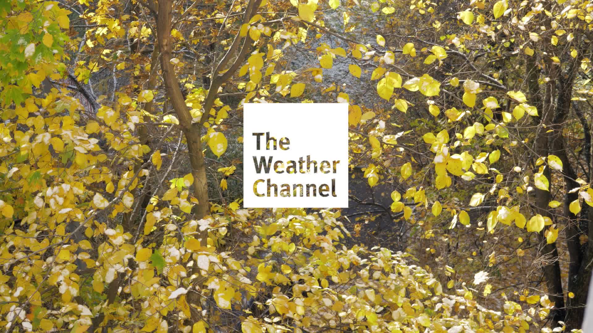 Early Look At New Fall Temperature Forecast - Videos from The Weather ...