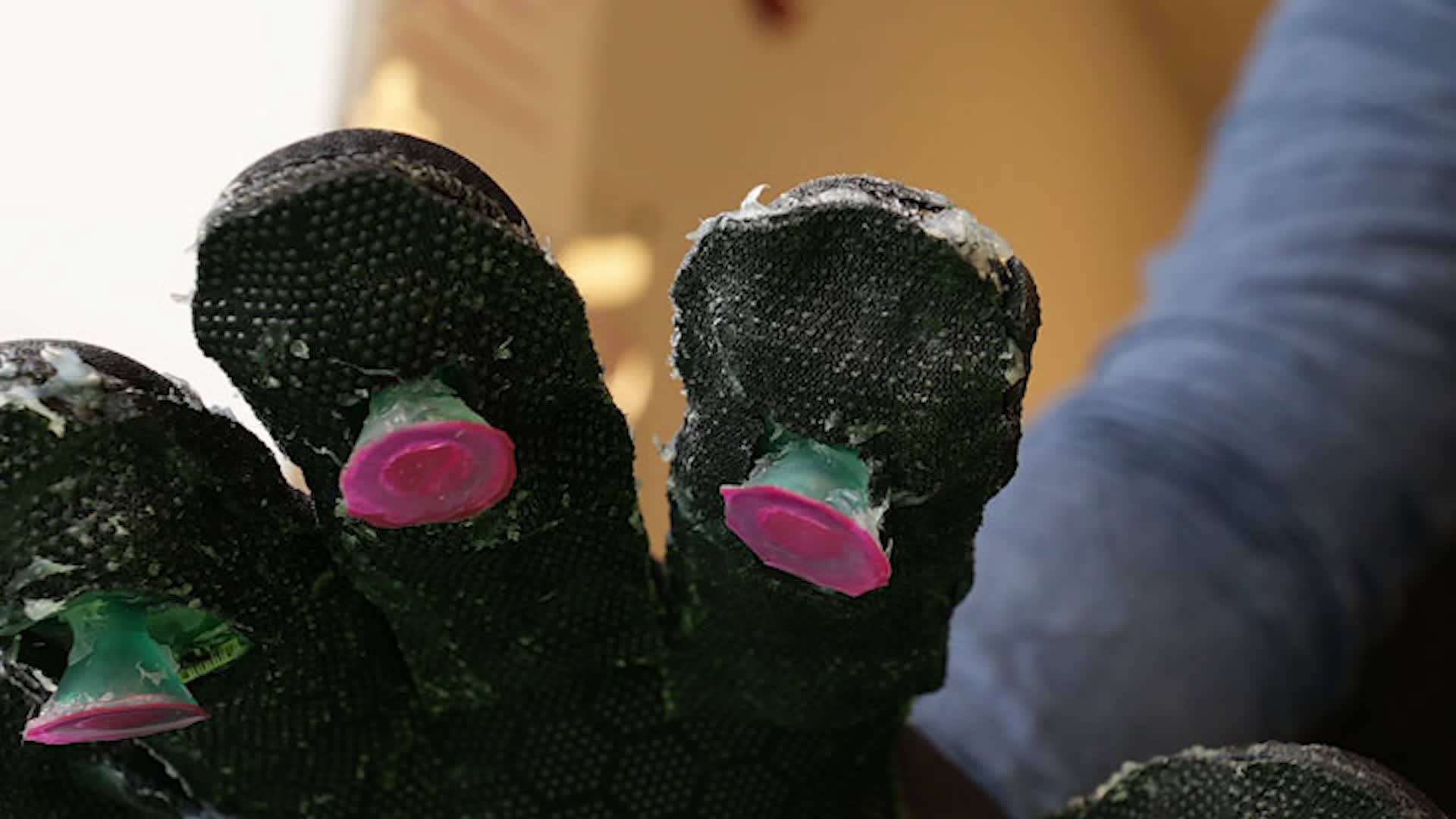 These Gloves Were Inspired By Octopus Suckers - Videos from The Weather ...