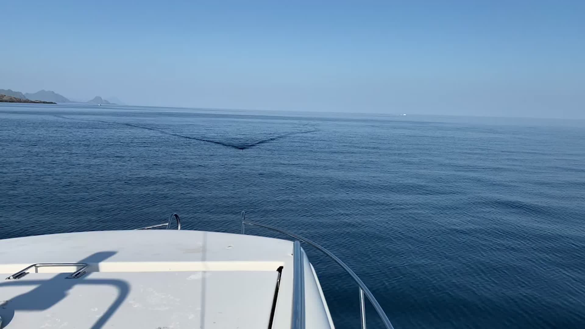 Reason For Strange Wake Surprises Fishermen - Videos from The Weather ...