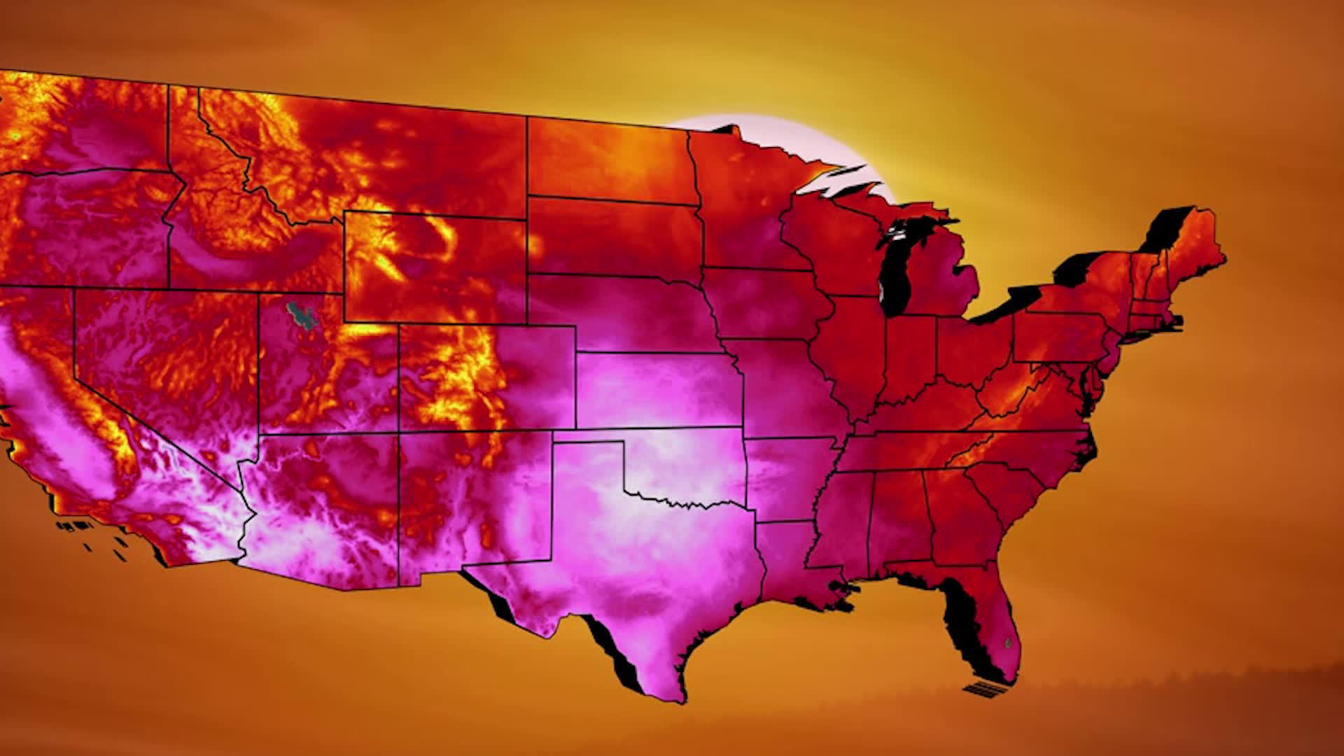 Meet the ‘Pizzly,’ a Polar Bear/Grizzly Hybrid - Videos from The ...