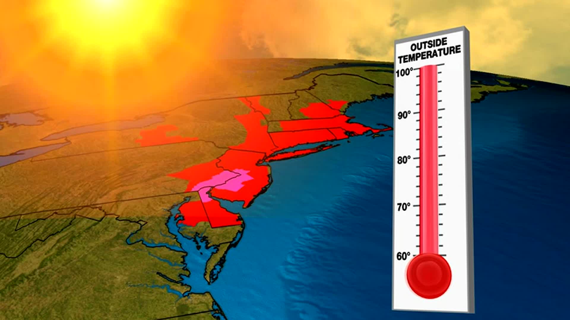 Meet the ‘Pizzly,’ a Polar Bear/Grizzly Hybrid - Videos from The ...