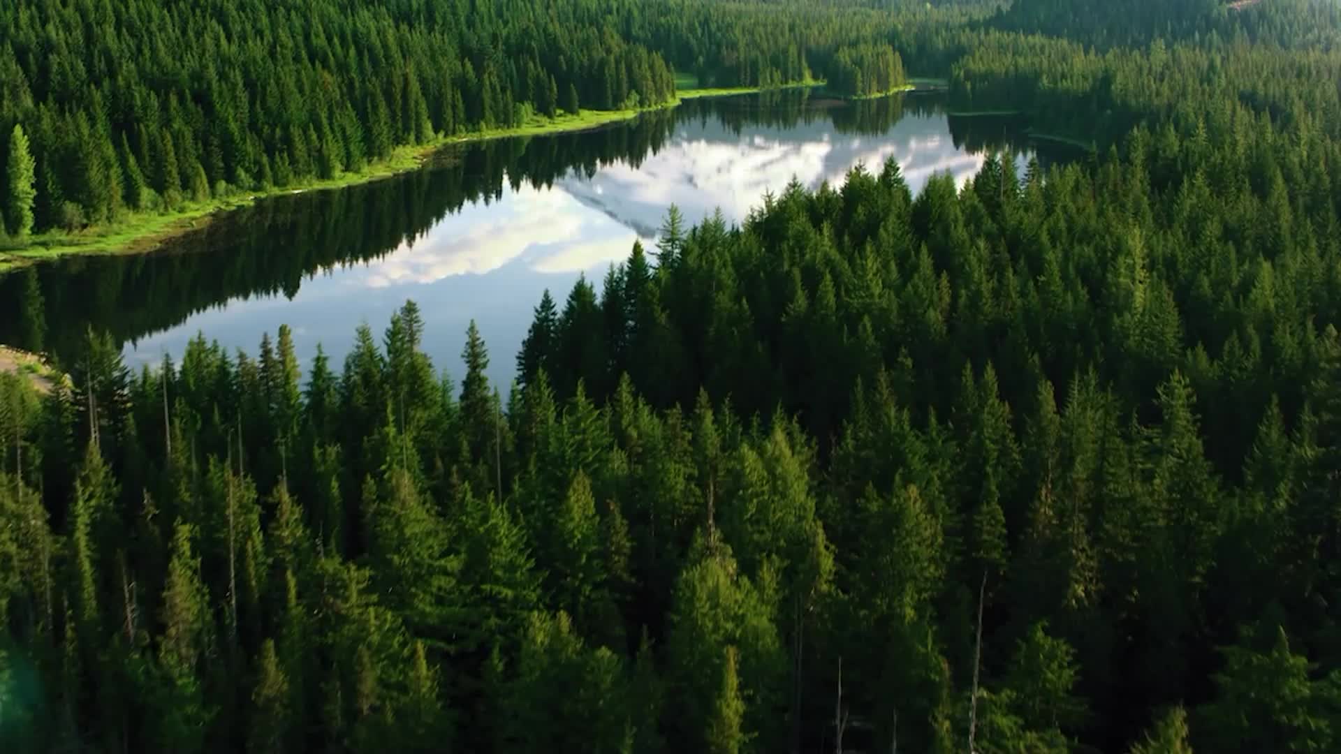 US To Plant 1.2 Billion Trees - Videos from The Weather Channel