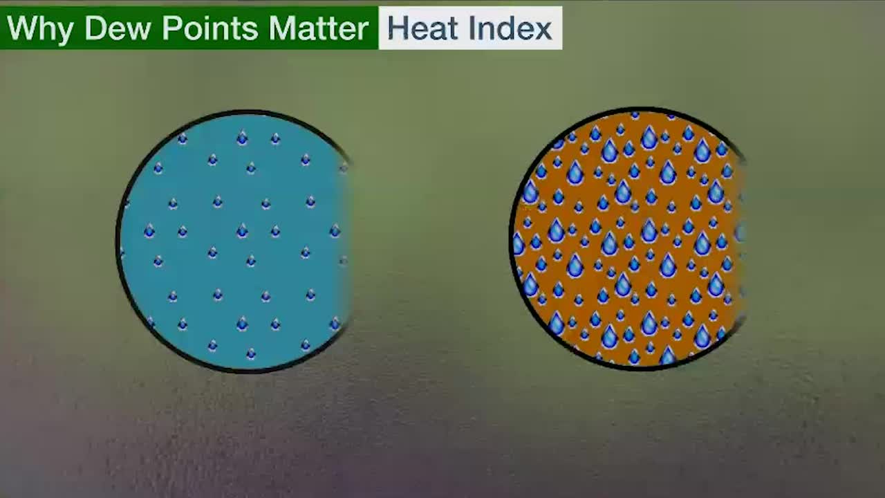 Why The Dew Point Is So Important - Videos from The Weather Channel