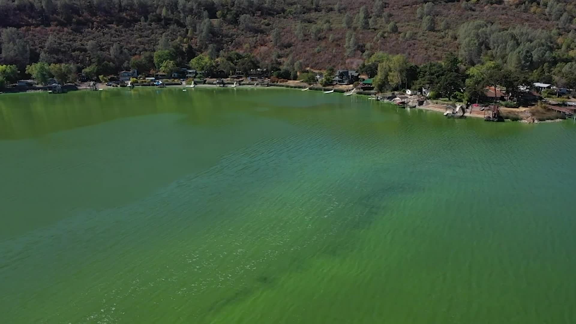 Stinky, Toxic Algae Marring One Of CA's Largest Lakes - Videos from The ...