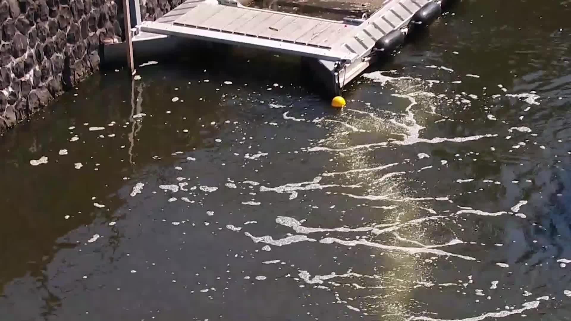 Could Bubbles Solve The Ocean’s Plastic Problem? - Videos from The ...