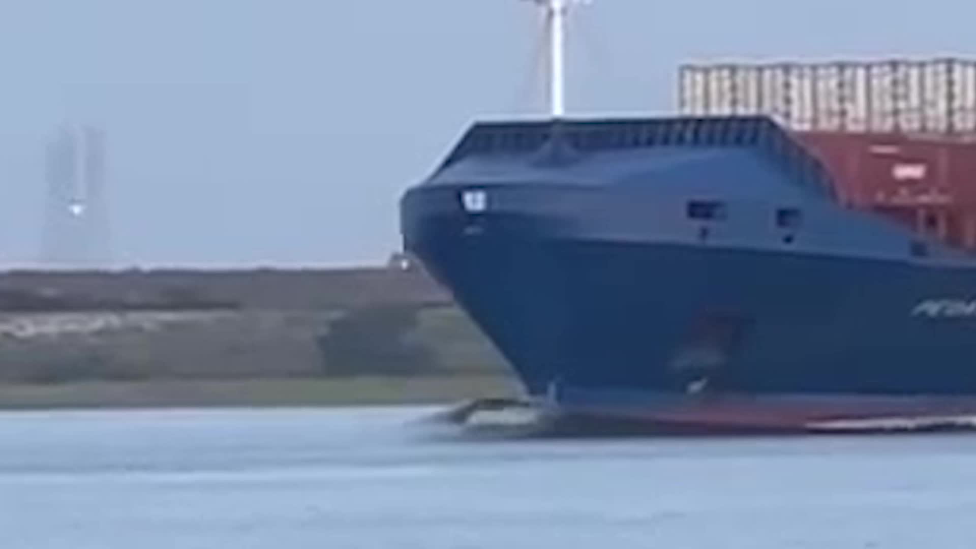 Bow Riding Dolphins Spotted in Jacksonville, Florida - Videos from The ...