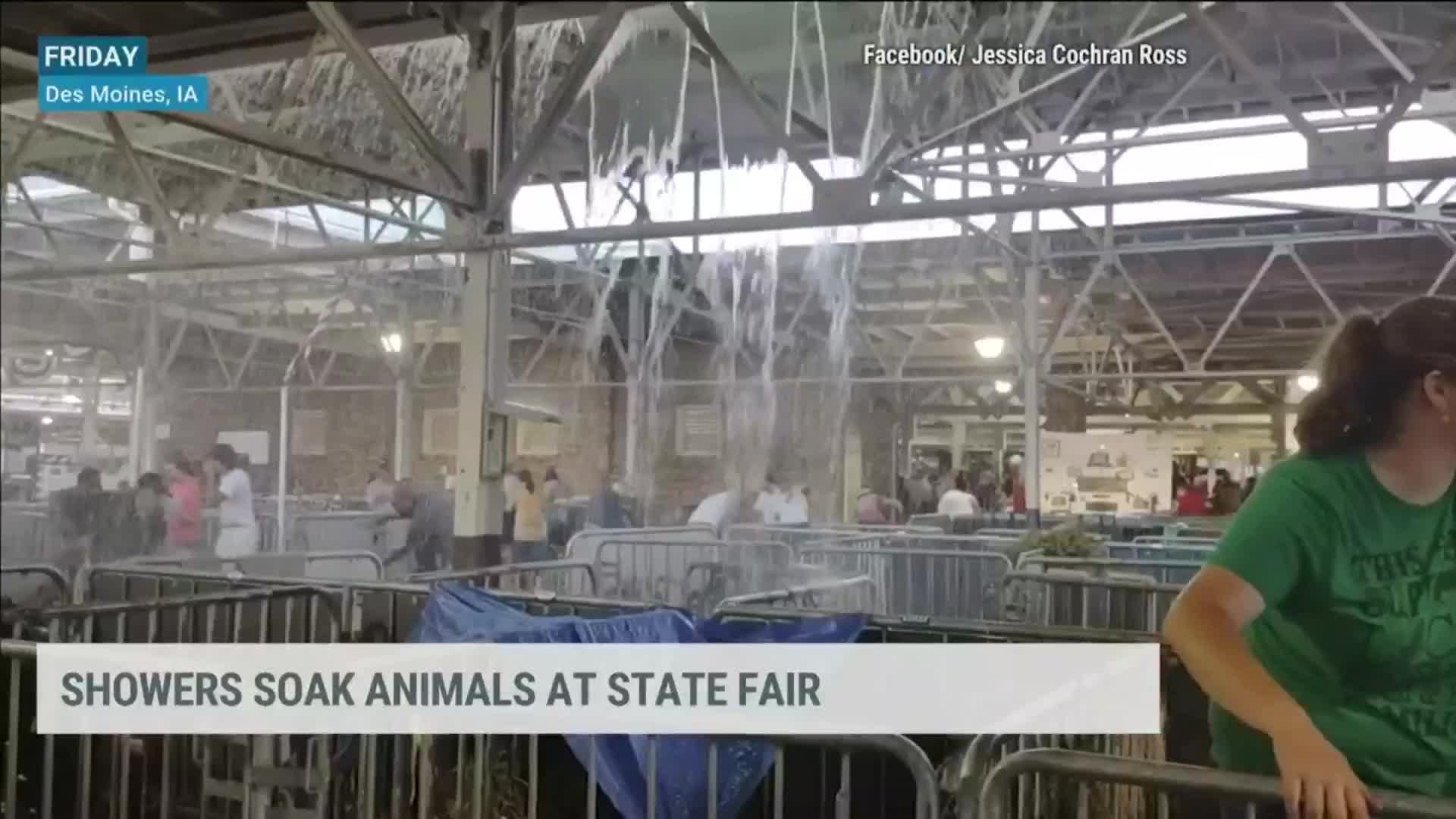 Showers Soak Animals At Iowa State Fair - Videos from The Weather Channel
