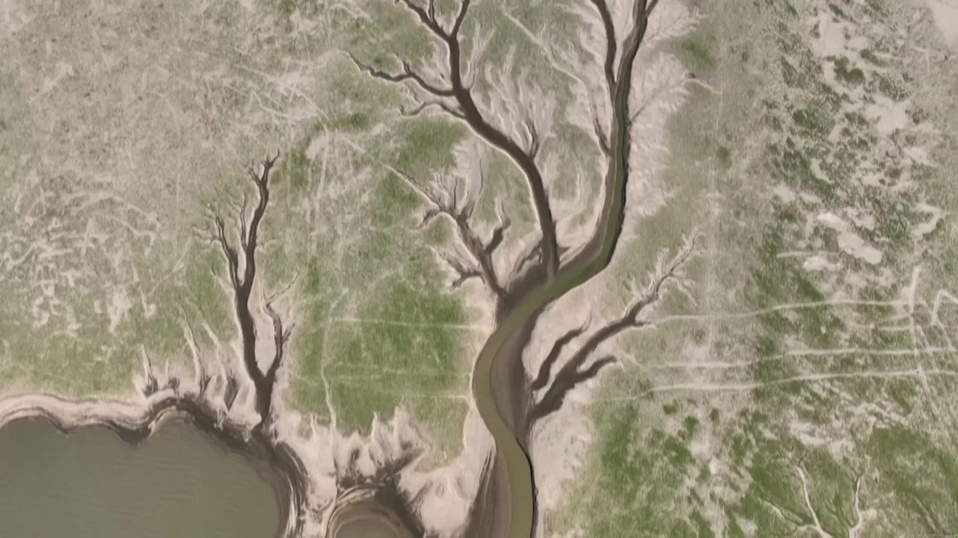 China’s Largest Lake Is So Dry Crews Dig Trenches To Irrigate Rice ...